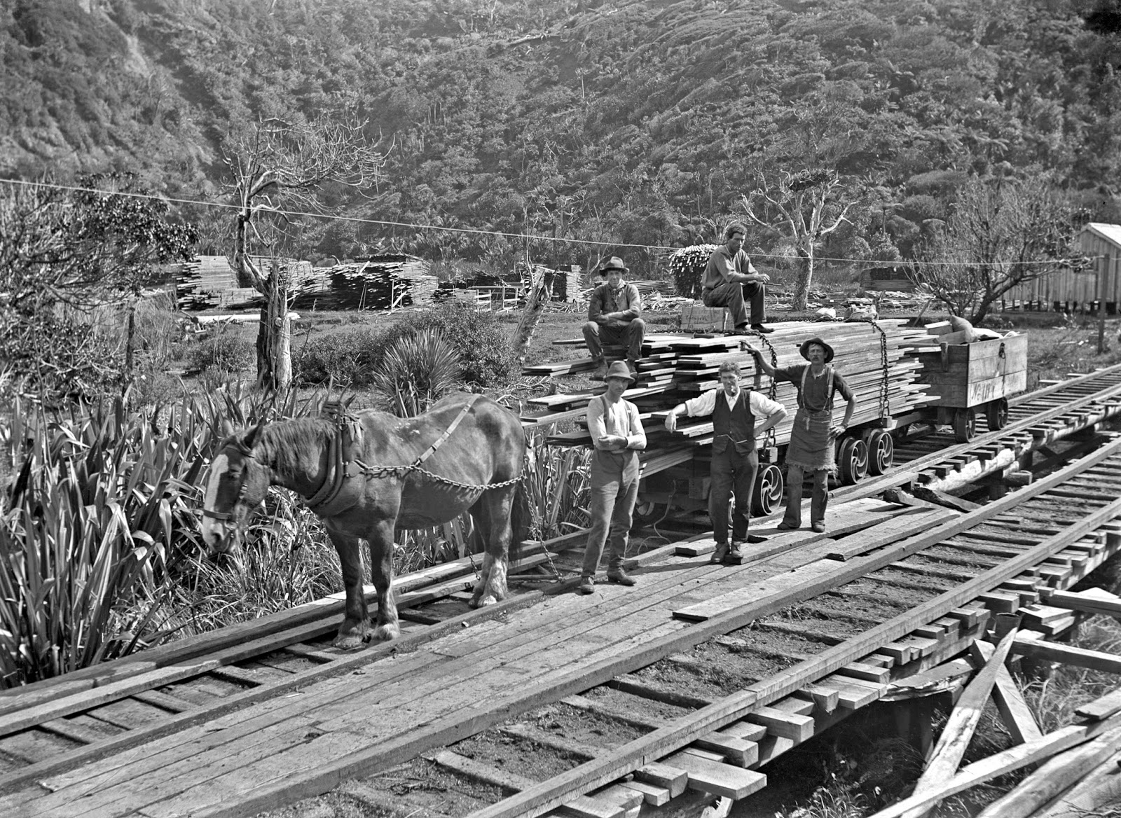 Bushlands Campground Tangarakau Forgotten World Highway NZ
